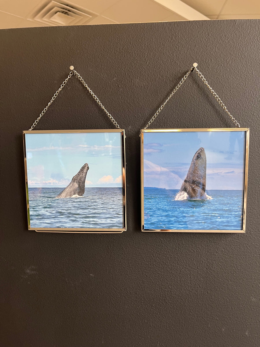 Juan Cuadros , "Jump outside down inside" – SPRING/BREAK Art Show