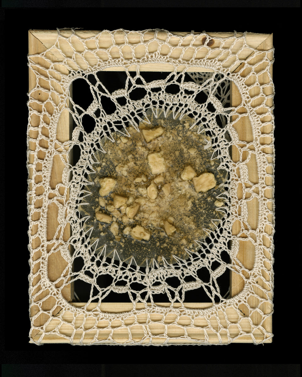 Ophelia Arc, "that’s the way the cookie crumbles, goya iteration III ...