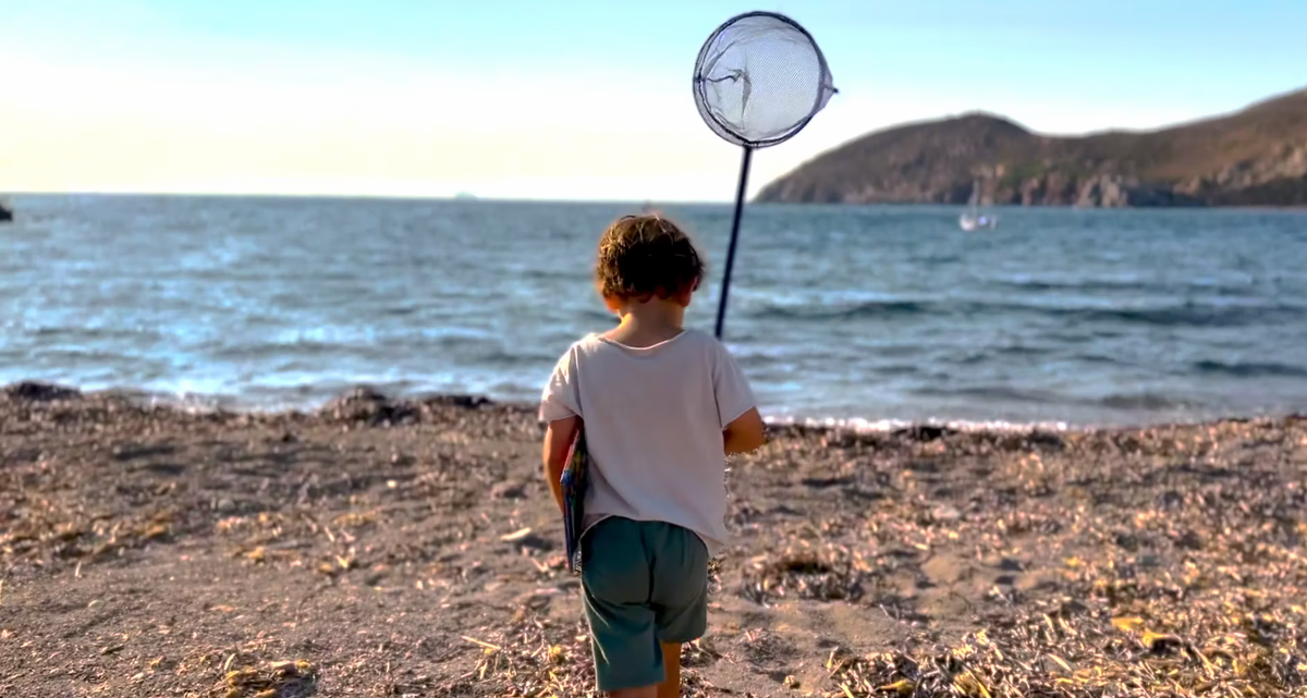 A15 | Sam Pressman LA 2024 – SPRING/BREAK Art Show