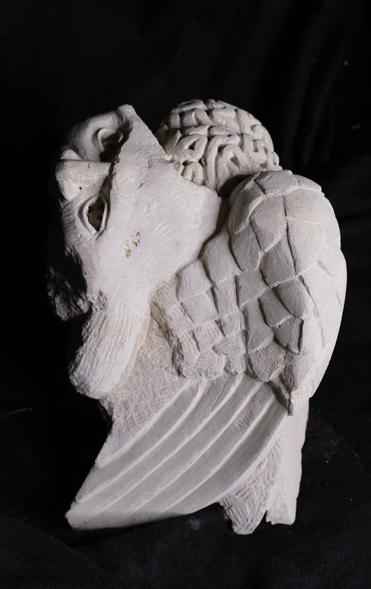 Joshua Pelletier, "To Be Returned Upon My Death And Used As My Gravest ...