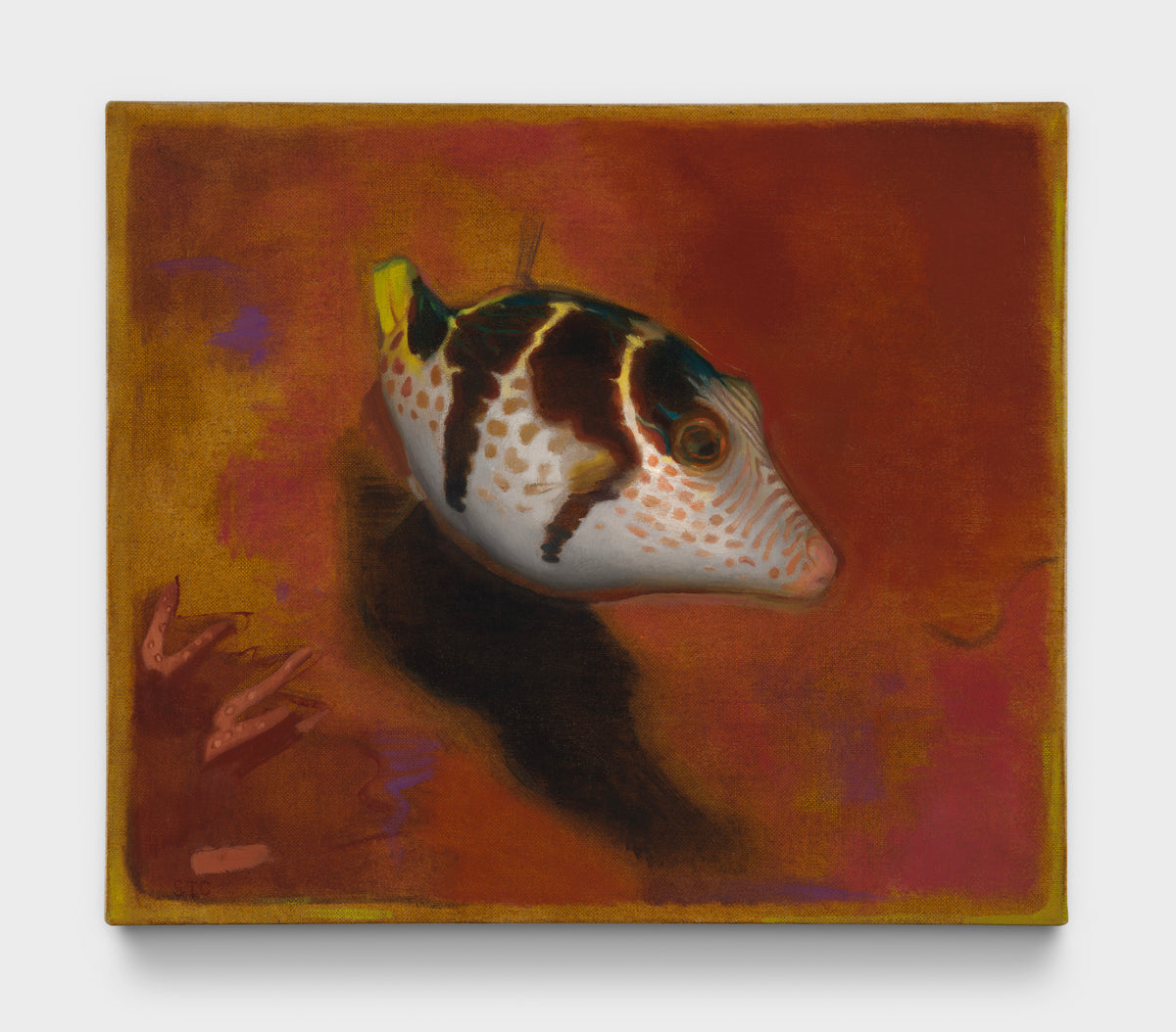 Savannah Tate Cuff, "Canthigaster Valentini" – SPRING/BREAK Art Show