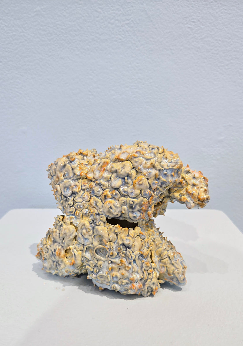 Kate Rusek, Diatom Test Specimen 8 – SPRING/BREAK Art Show