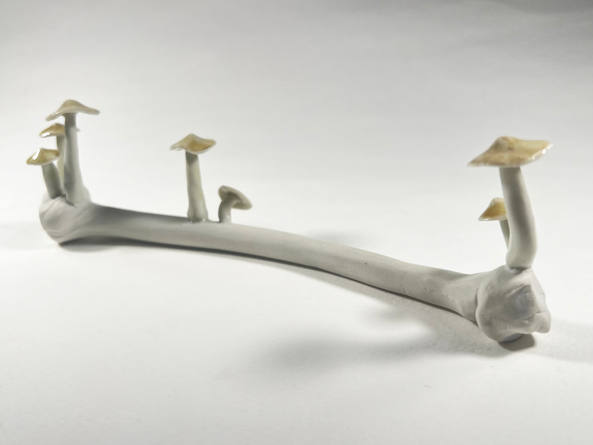 Richard Stauffacher, "Untitled #15 from the series The Reclaiming ...