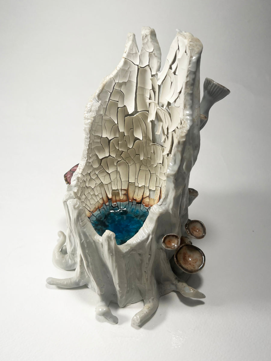 Richard Stauffacher, "Untitled #1 from the series Fairy Circle ...