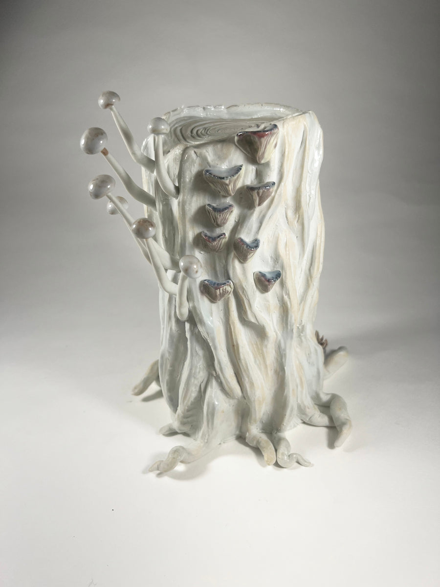 Richard Stauffacher, "Untitled #2 from the series Fairy Circle ...