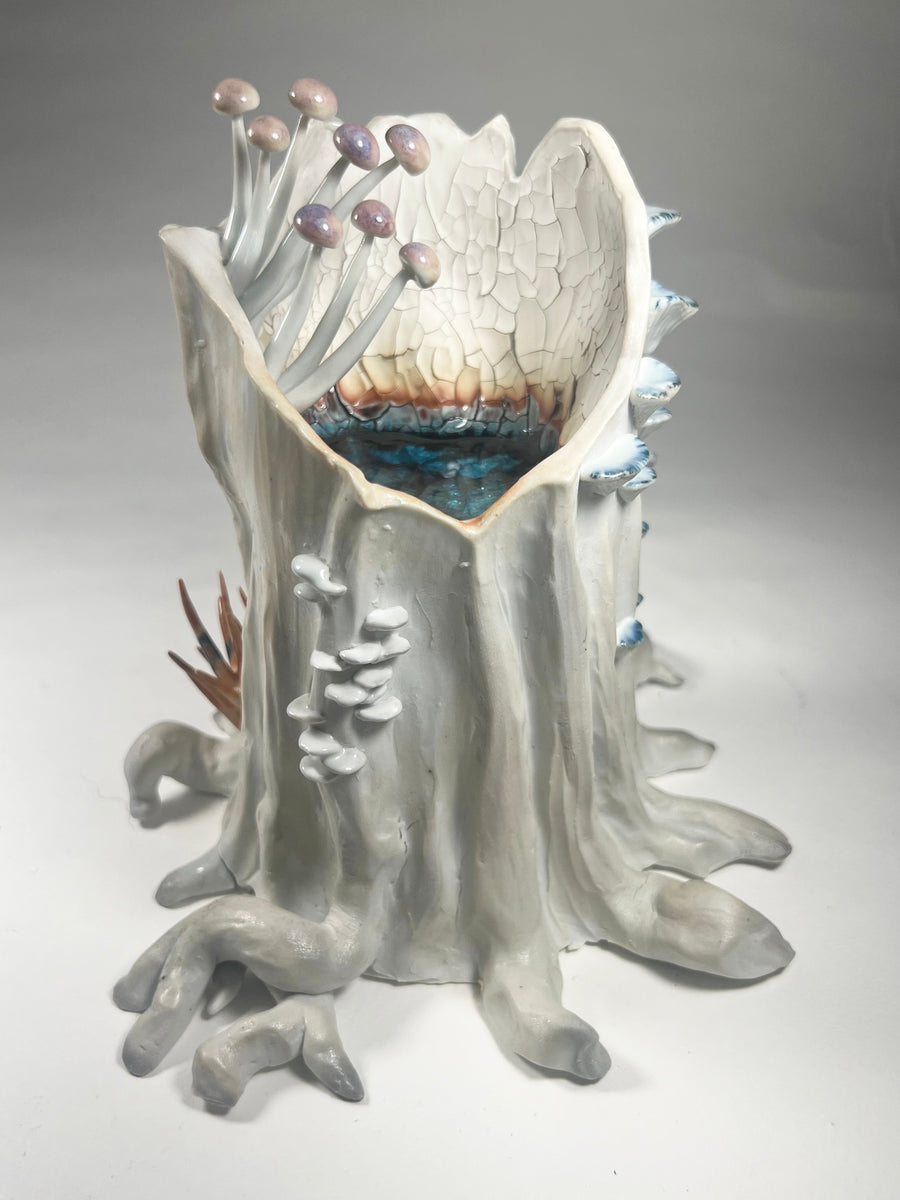 Richard Stauffacher, "Untitled #7 from the series Fairy Circle" SOLD ...