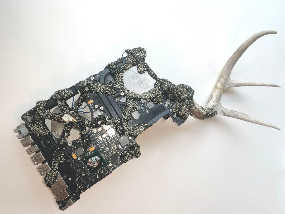 Christopher M. Tandy, "Our Ghosts / Our Shells" – SPRING/BREAK Art Show