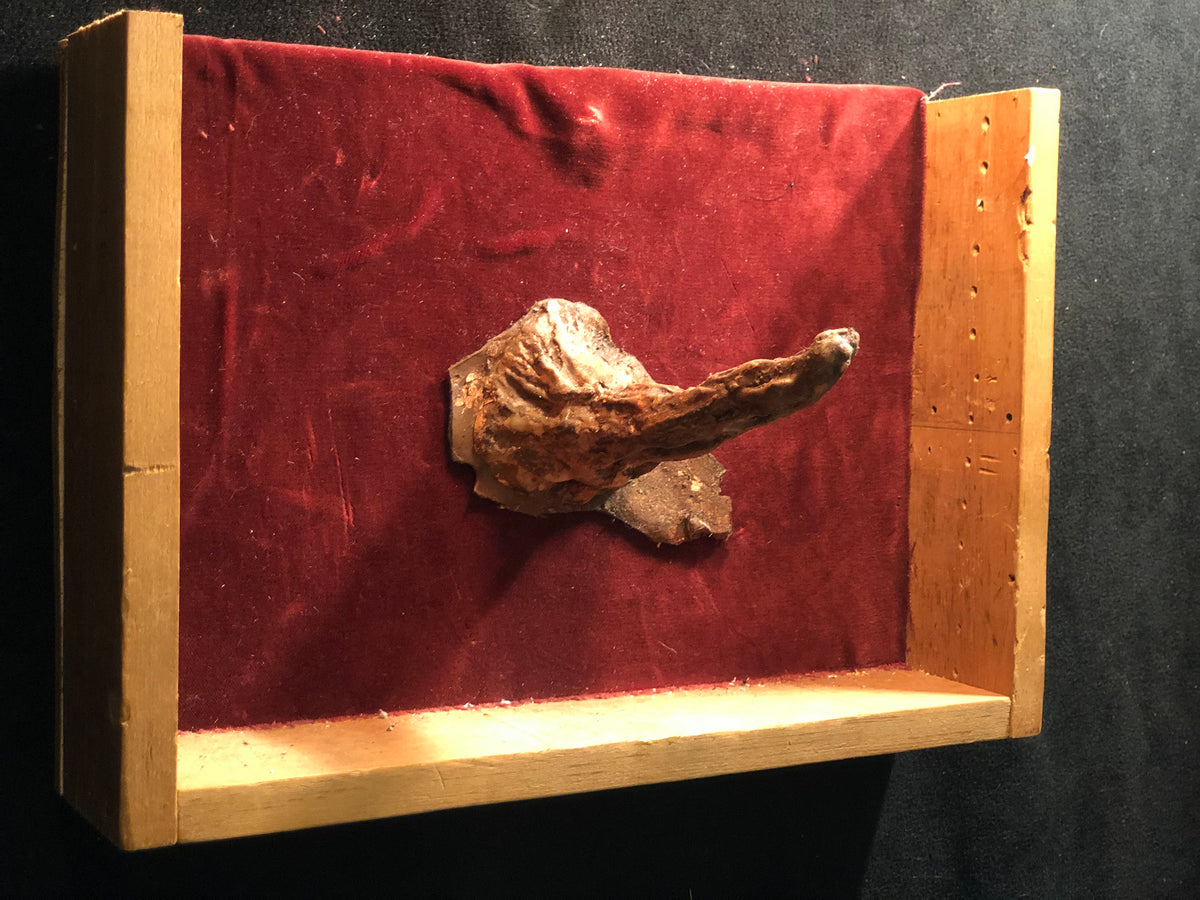 Z Behl, "Pinocchio Nose" – SPRING/BREAK Art Show