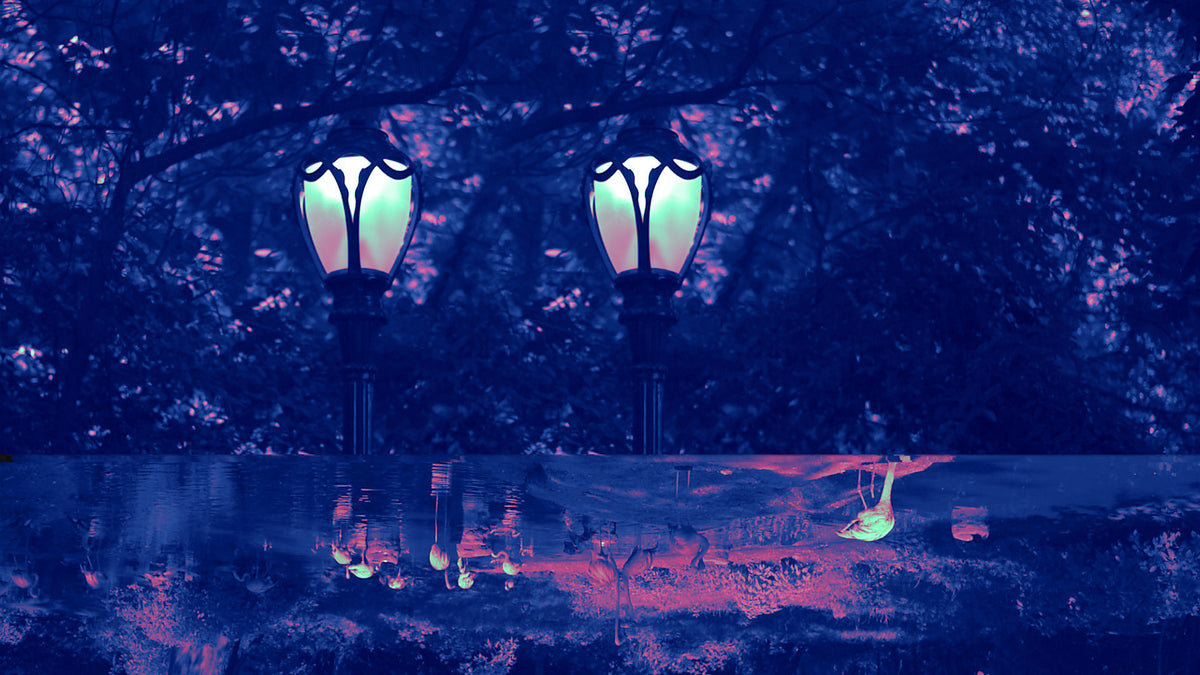 Jeremy Olson, "in the leaves" – SPRING/BREAK Art Show