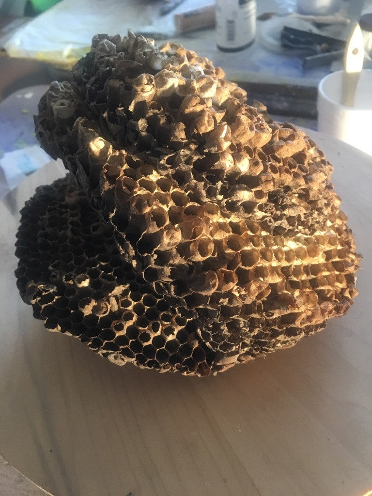 LeRone Wilson, "Ancestral Hive" – SPRING/BREAK Art Show