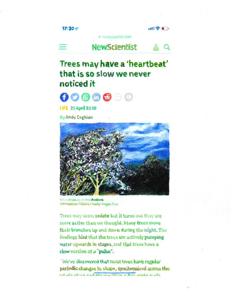 Max Rippon, "Tree may have a heartbeat" – SPRING/BREAK Art Show