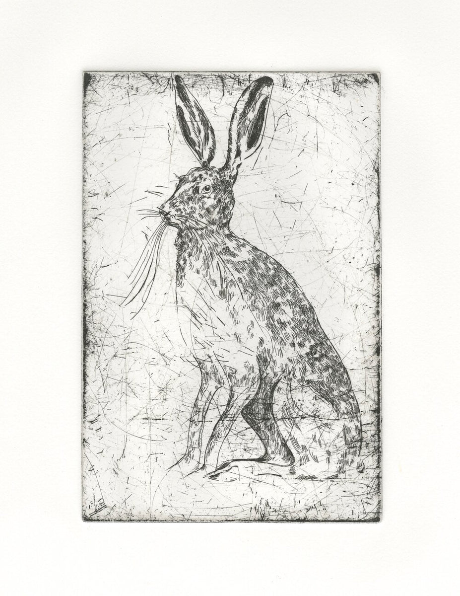 Magdalena Pawlowski, "Hare" – SPRING/BREAK Art Show