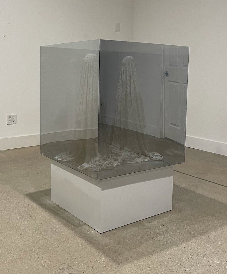 Steve Hash, "Isolation Echo Chamber I" – SPRING/BREAK Art Show